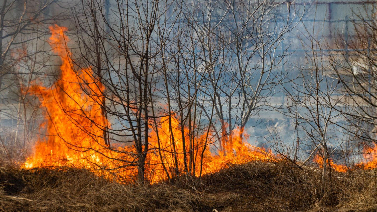 Queimadas no Nordeste devastam área de 21 milhões de hectares em seis ...